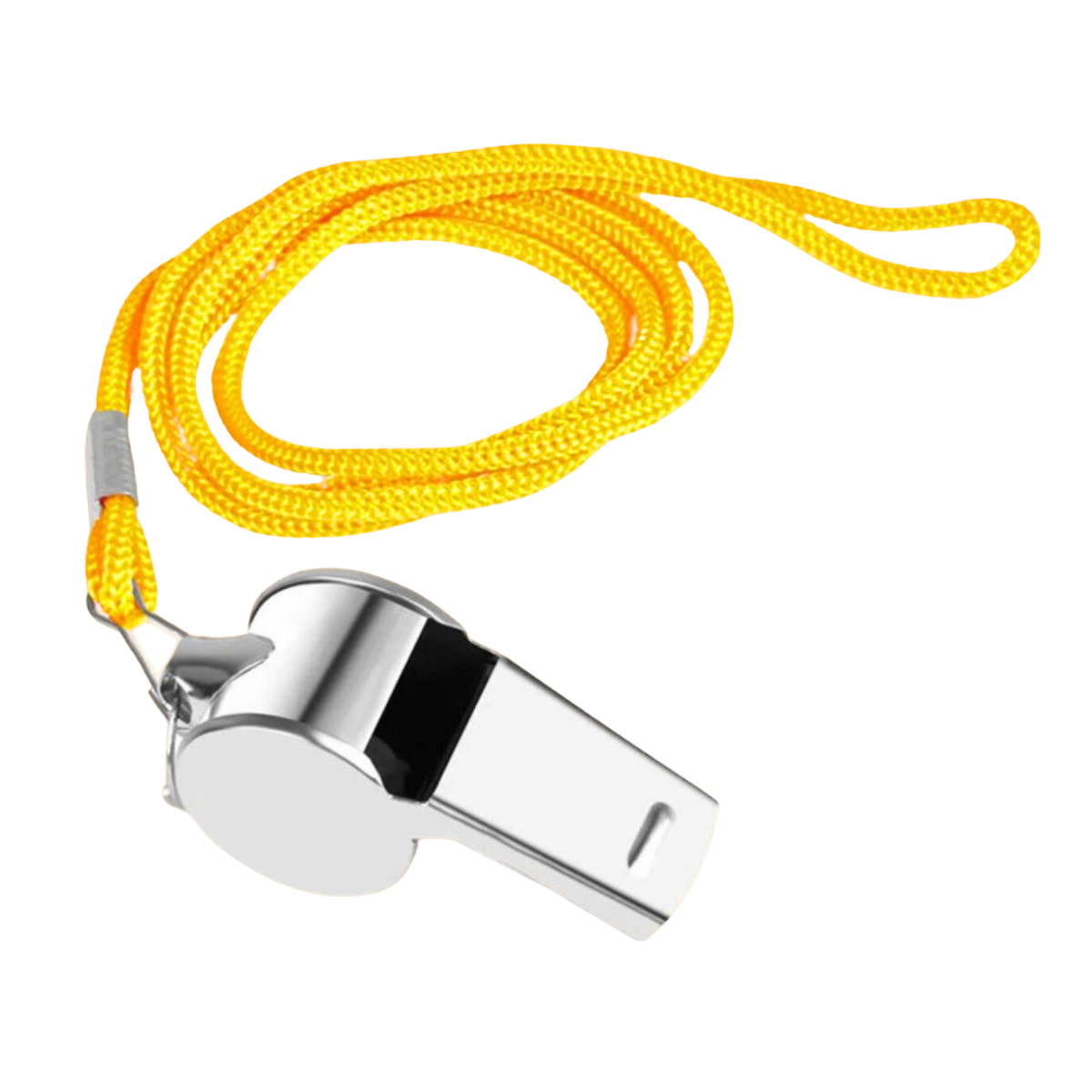 Silbato Acero Inoxidable Profesional con Cuerda para Entrenadores